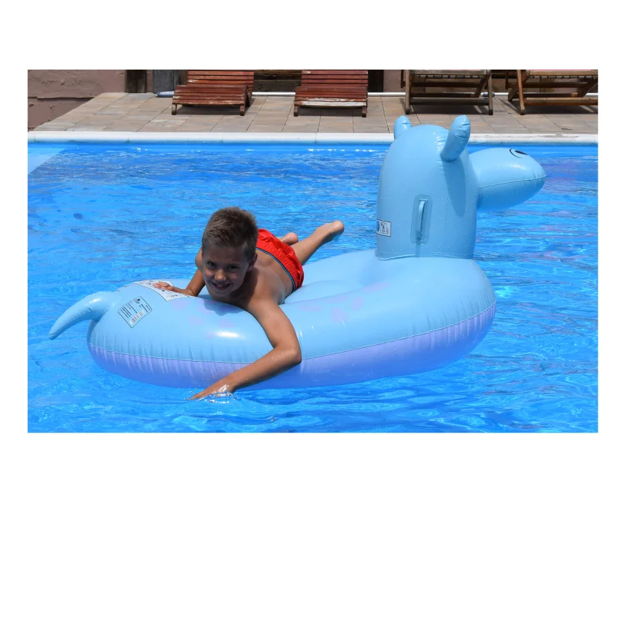 ŽIVOTINJA NA NAPUHAVANJE ZA PLAŽU, , IJAA