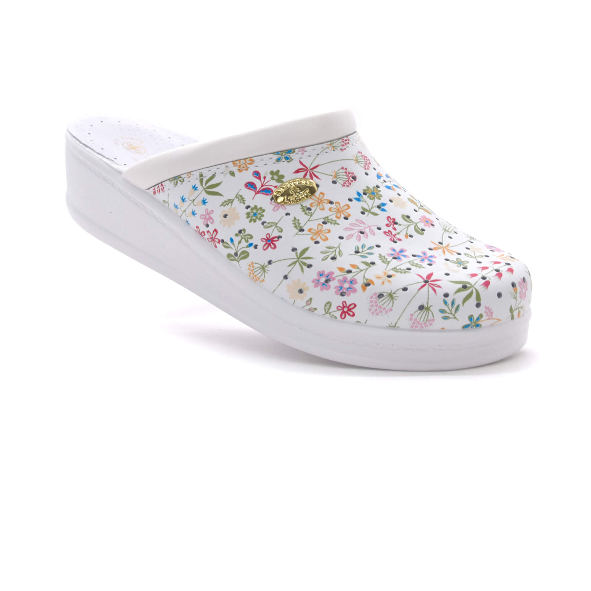 ANATOMSKE COKLE, SANITAL, Cvetlična, Usnje, JJDA